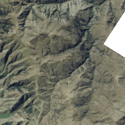 ArcGIS Web Application