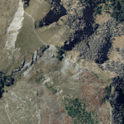 ArcGIS Web Application