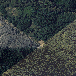 ArcGIS Web Application