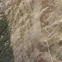 ArcGIS Web Application