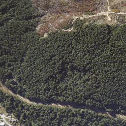 ArcGIS Web Application