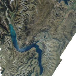 ArcGIS Web Application